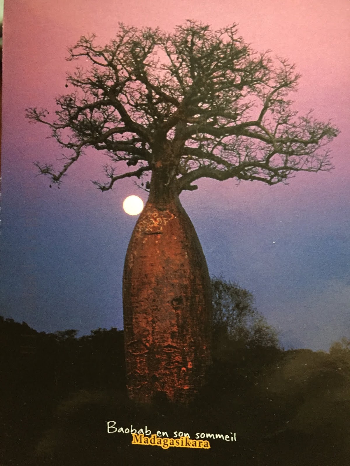 Postcards of Africa, Islands and Exotic Locales: MADAGASCAR