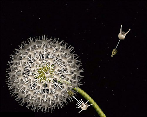 Flores con humanos ~ LoQuieroLoCompro.com