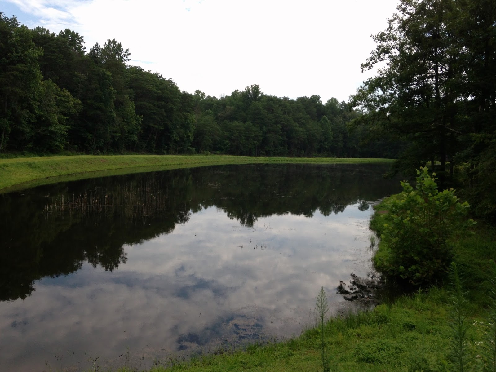 NC BACKCOUNTRY: MAYO RIVER STATE PARK