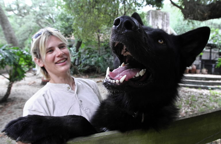 ^AnImAlsSsS^: Canadian Wolf Dog