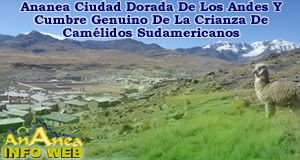 ANANEA www.Ananea.Tk: Historia