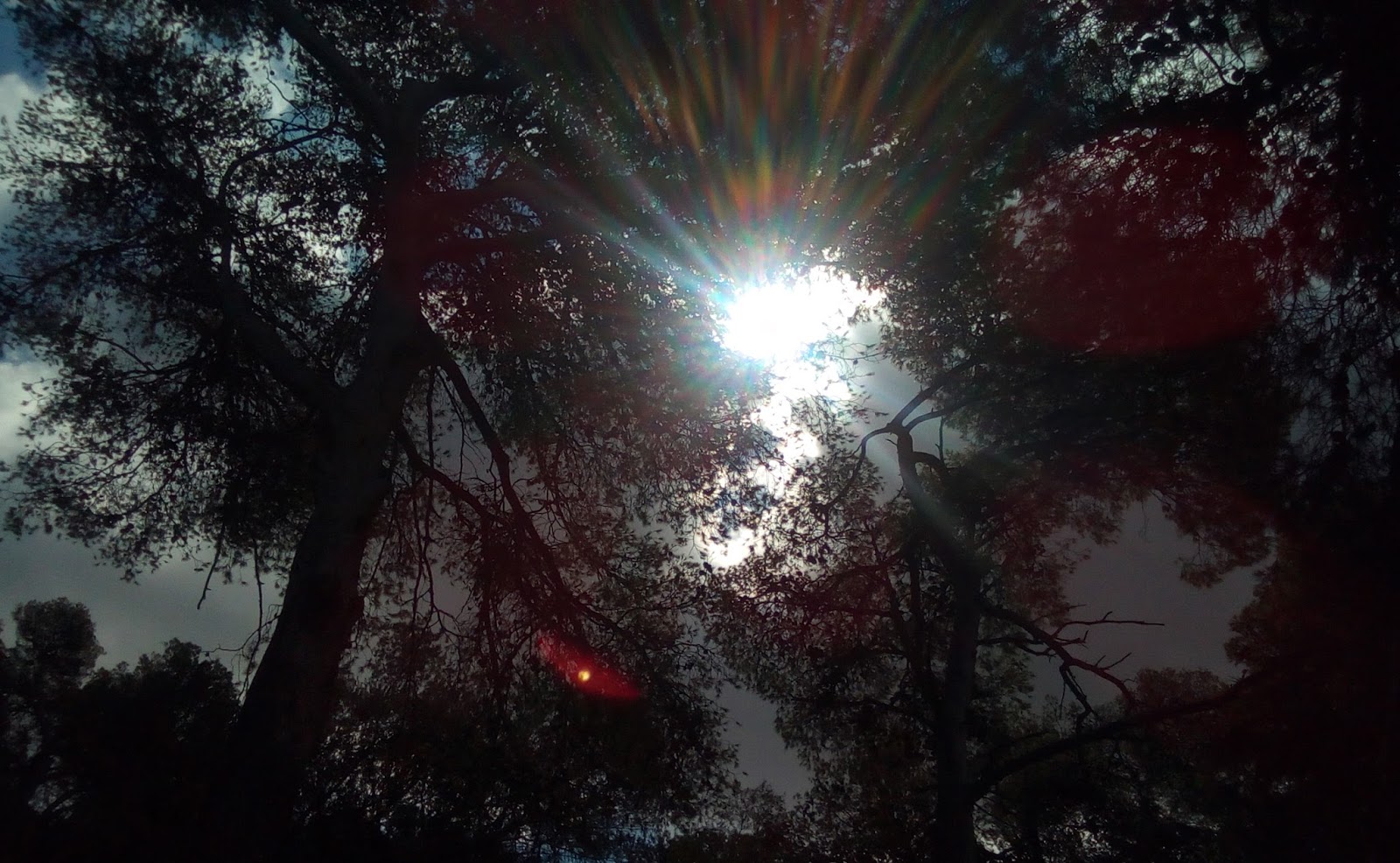 Lumen imago: Esplendor