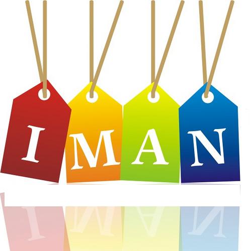 Islam And Muslim Blog: Hadith About Faith (Iman)