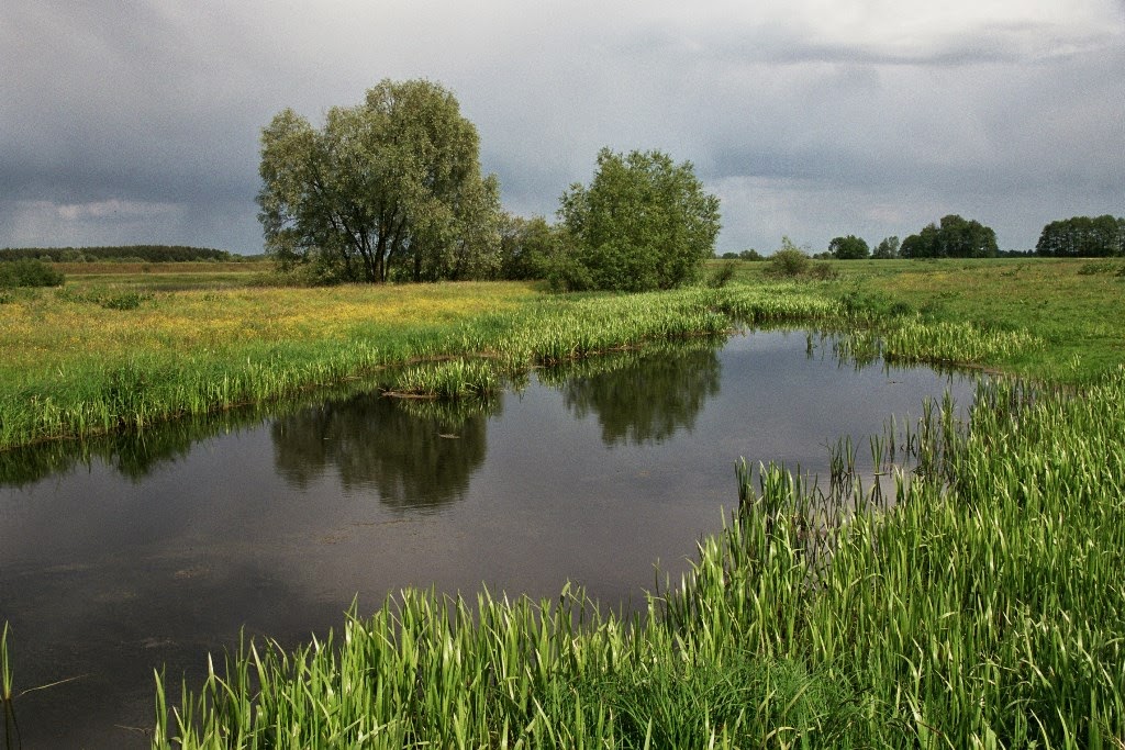 Mazowsze z sercem: O Mazowszu