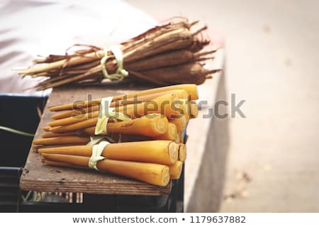 Health Benefits of Palmyra sprout