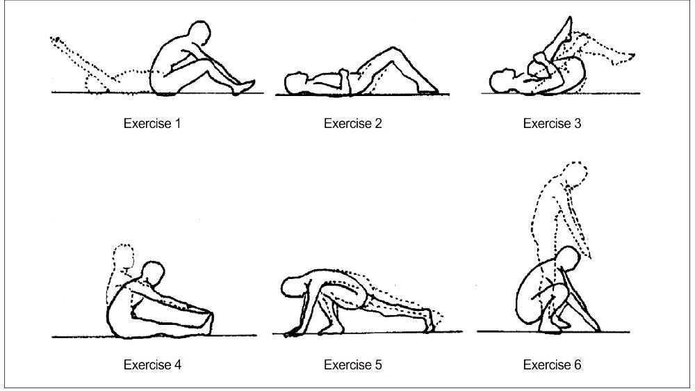 Williams Flexion Exercises