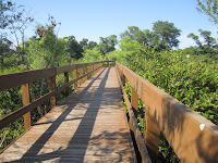 A Separate Peace: Daggerwing Nature Center – Boca Raton, FL