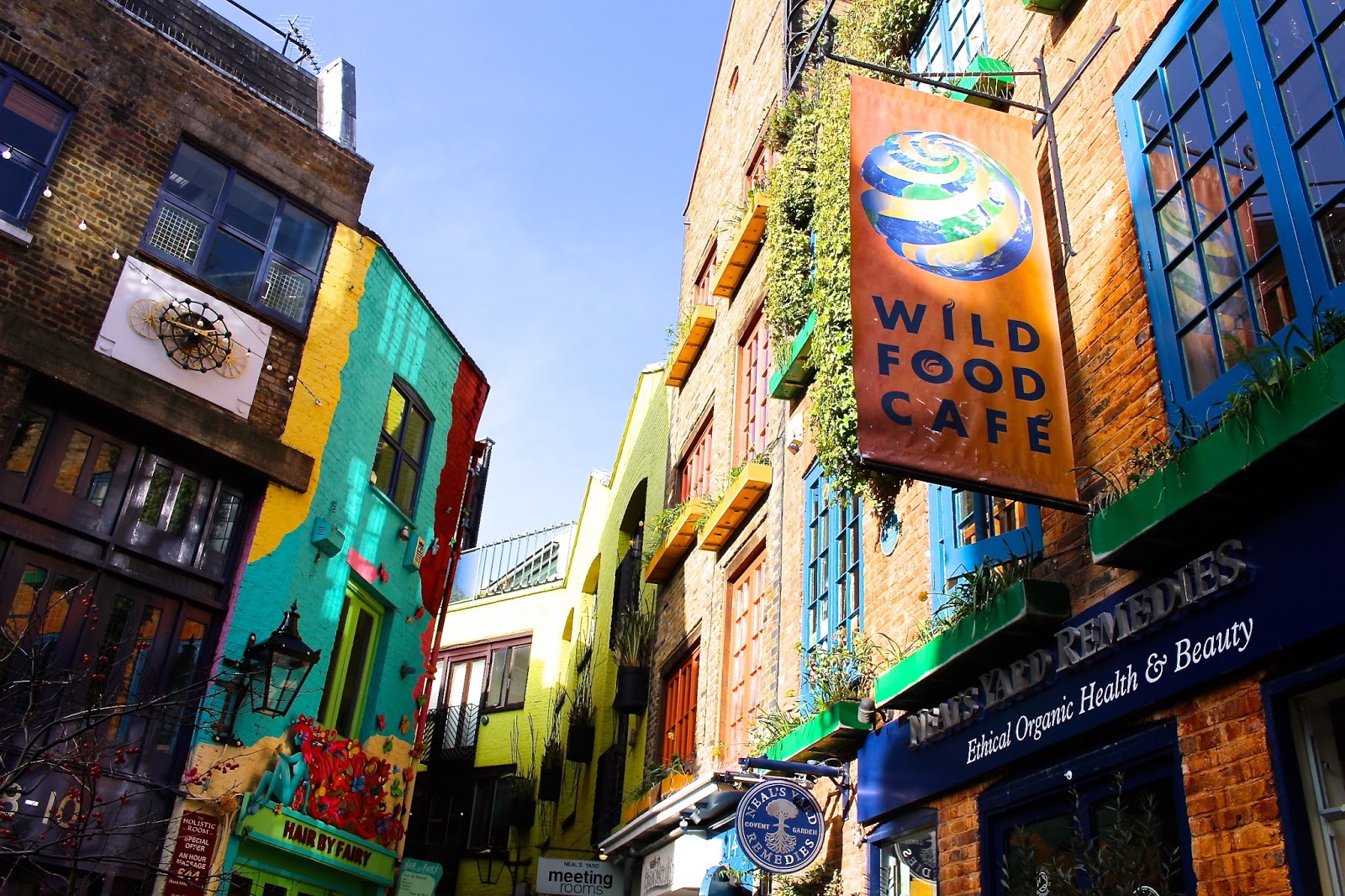 WILD FOOD CAFE | SOPHLALOOK