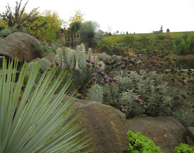 Arrowhead Alpines Blog: Plants of Portland