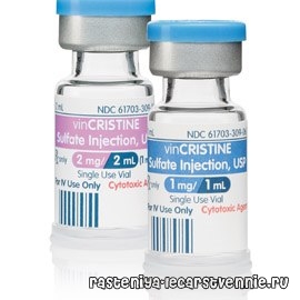 My Advanture My Pharmacy : Spesialite Obat