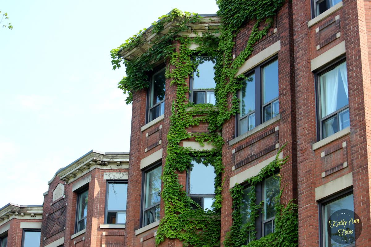 BEAUTIFUL BUILDINGS of Ontario: Historical Hamilton (14 Photos)