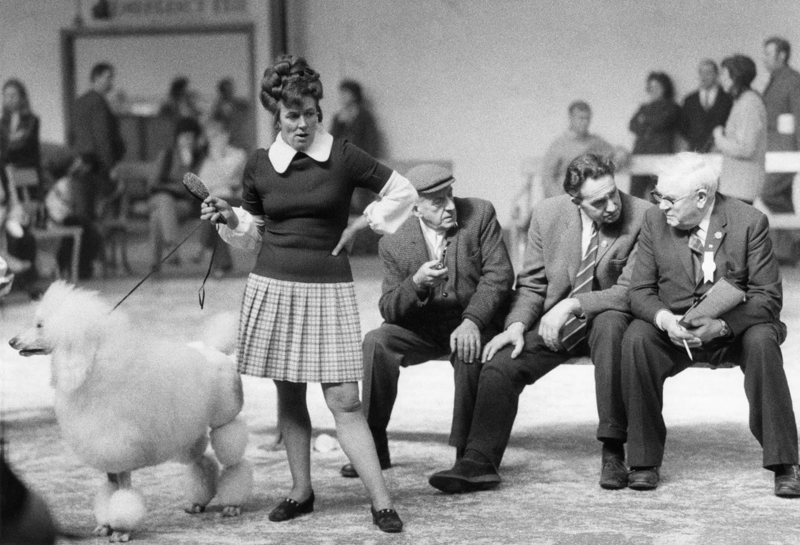 Terrierman's Daily Dose: The Entire World of Dog Shows in One Picture