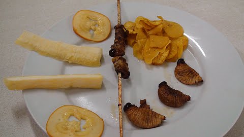 El último shamán de la amazonía: el suri amazònico, manjar de los ...