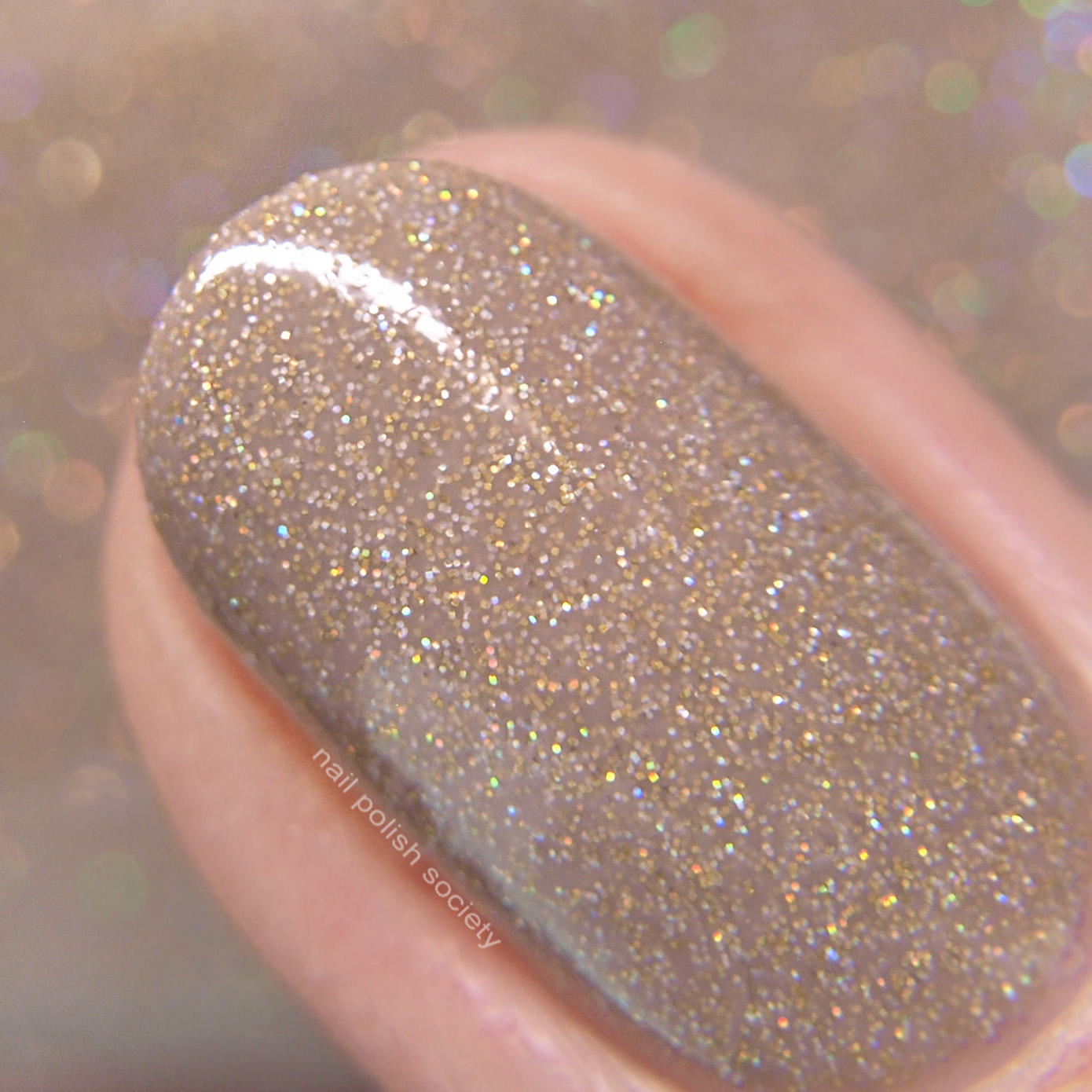 Nail Polish Society: Painted Polish Shades of Taupe Collection