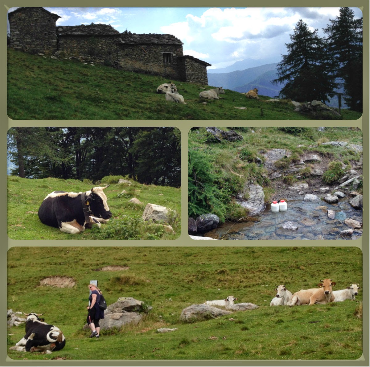 "Bella Baita View": Rifugio Hopping in the Alps