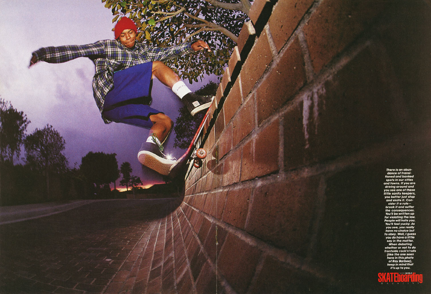 Jeff's Skateboard Page: The Earnestness of Being Ray