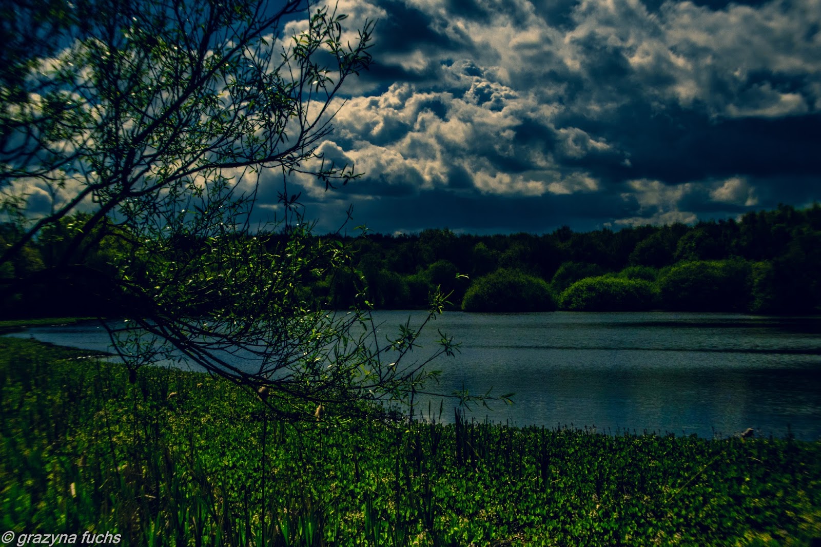 Enjoy your time with beautiful places: Epsom Common