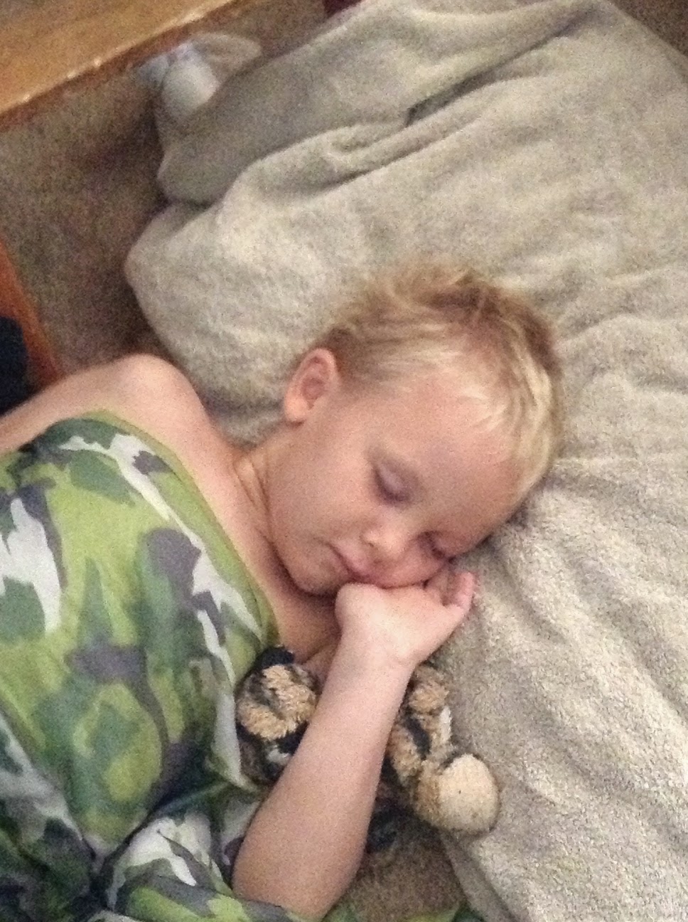 Quiet Night's Gentle Sleep Coaching for Babies & Children: "Blanket ...