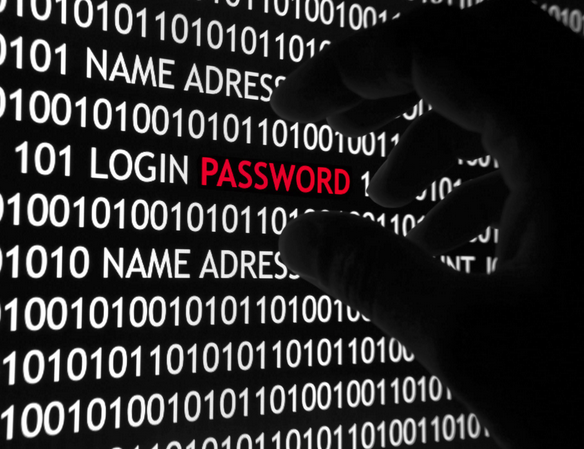 Crackers / Cultura cracker - Tribus Urbanas