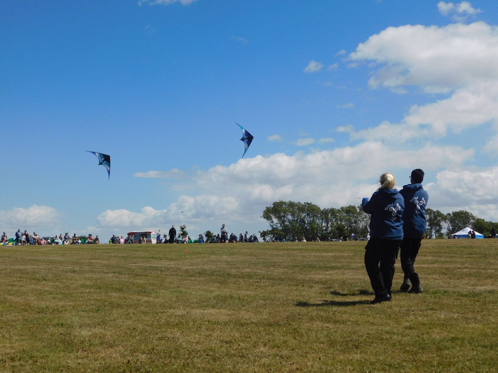 Flying Fish Kiting Team: Dunstable Kite Festival