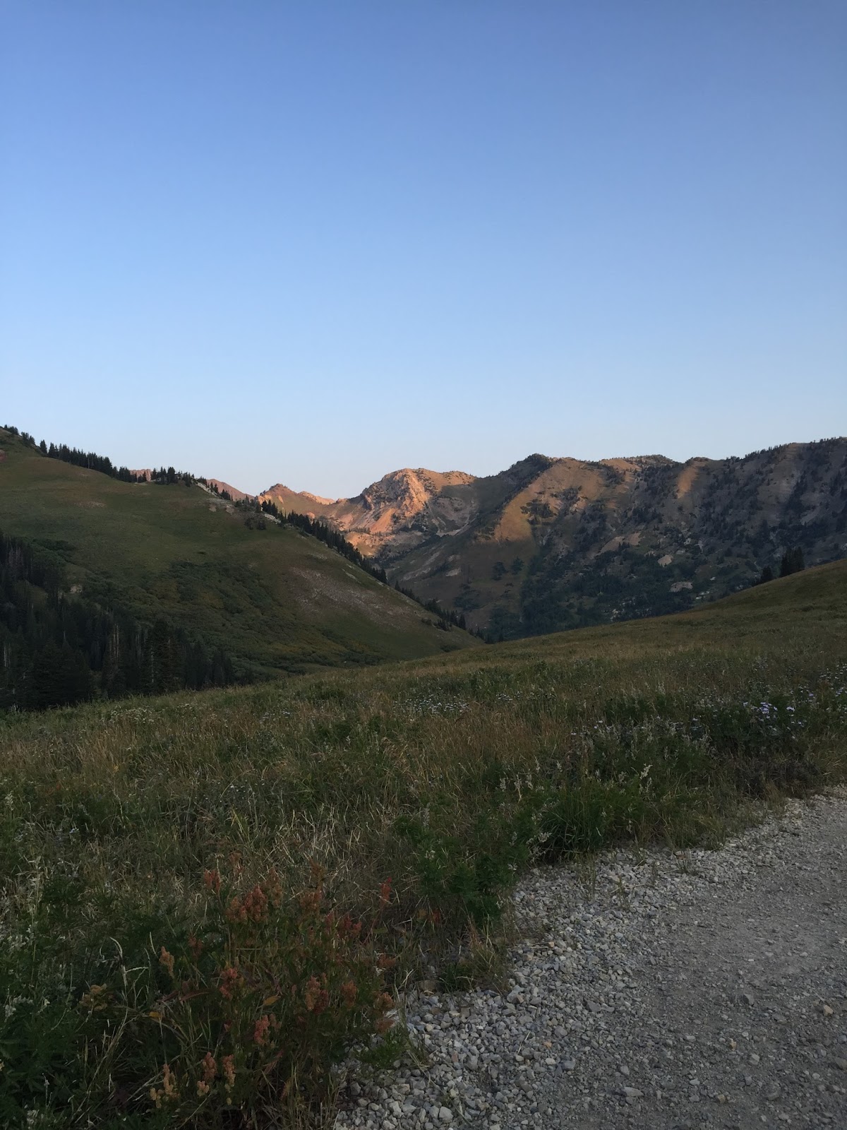 Jessindy's Hiking Adventures: Albion Basin Trail