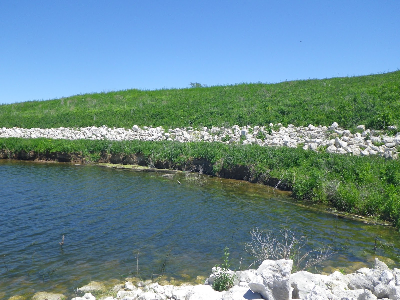 The Lost Grove Lake Mapping Project: It's Getting Closer To Full