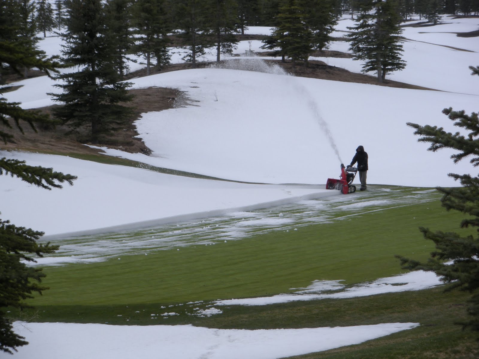 Glenwild Golf Course Maintenance: Snow Mold Prevention