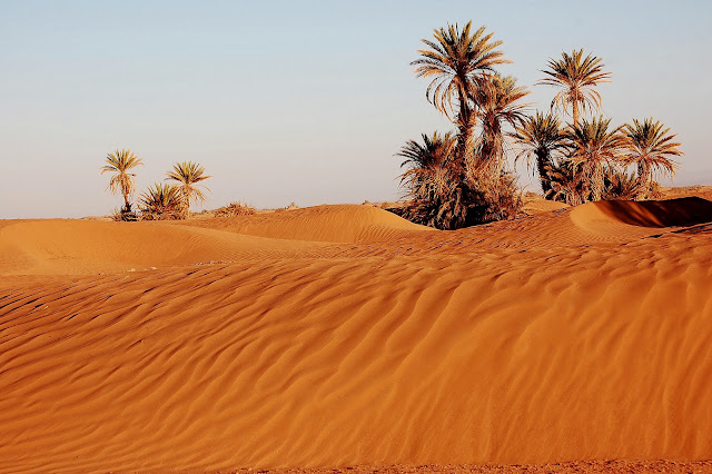 "Travels to Nowhere...": Wide Awake in the Sahara... a journey by camel.