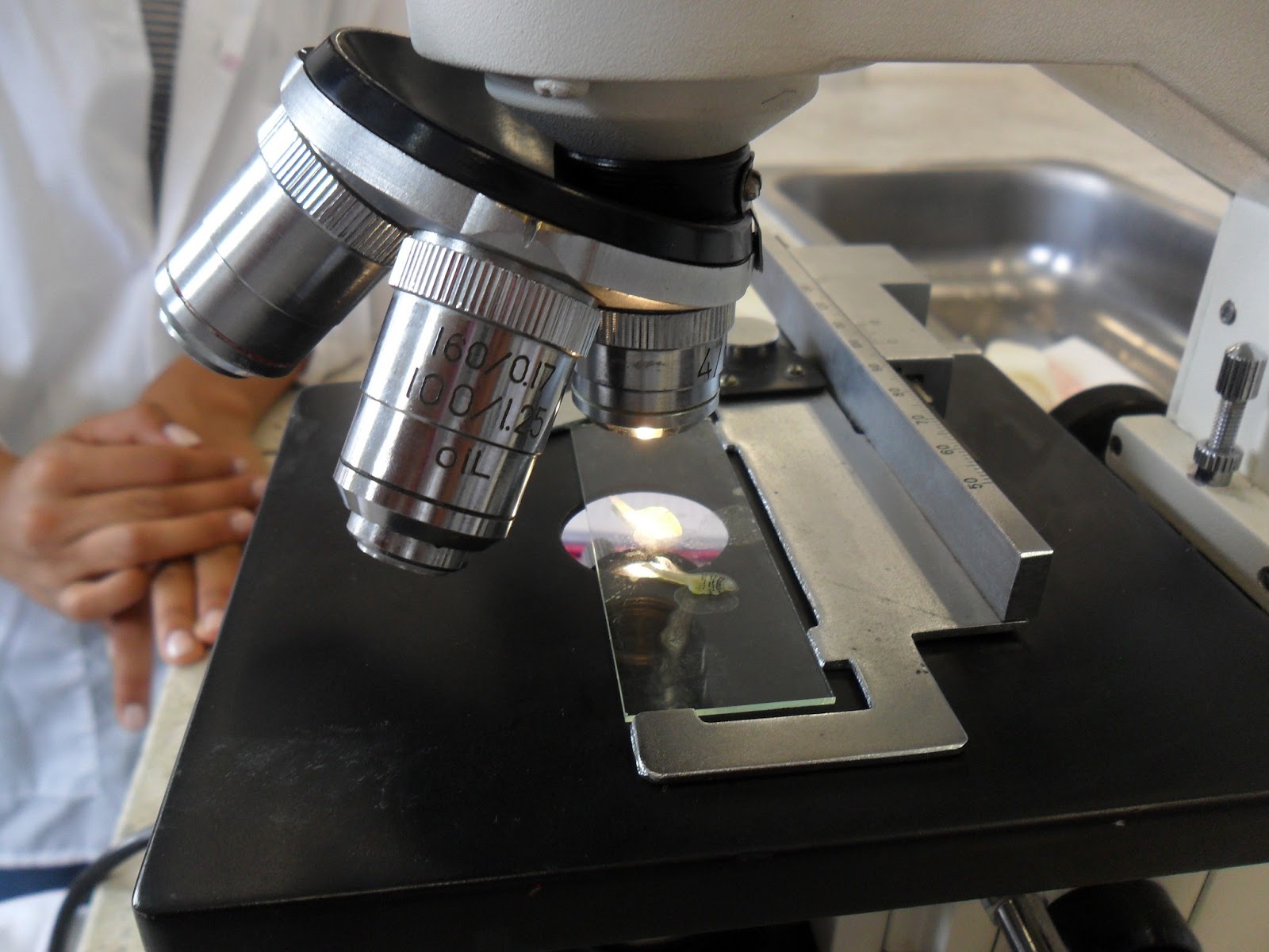 ZOOLOGÍA Y FISIOLOGÍA ANIMAL