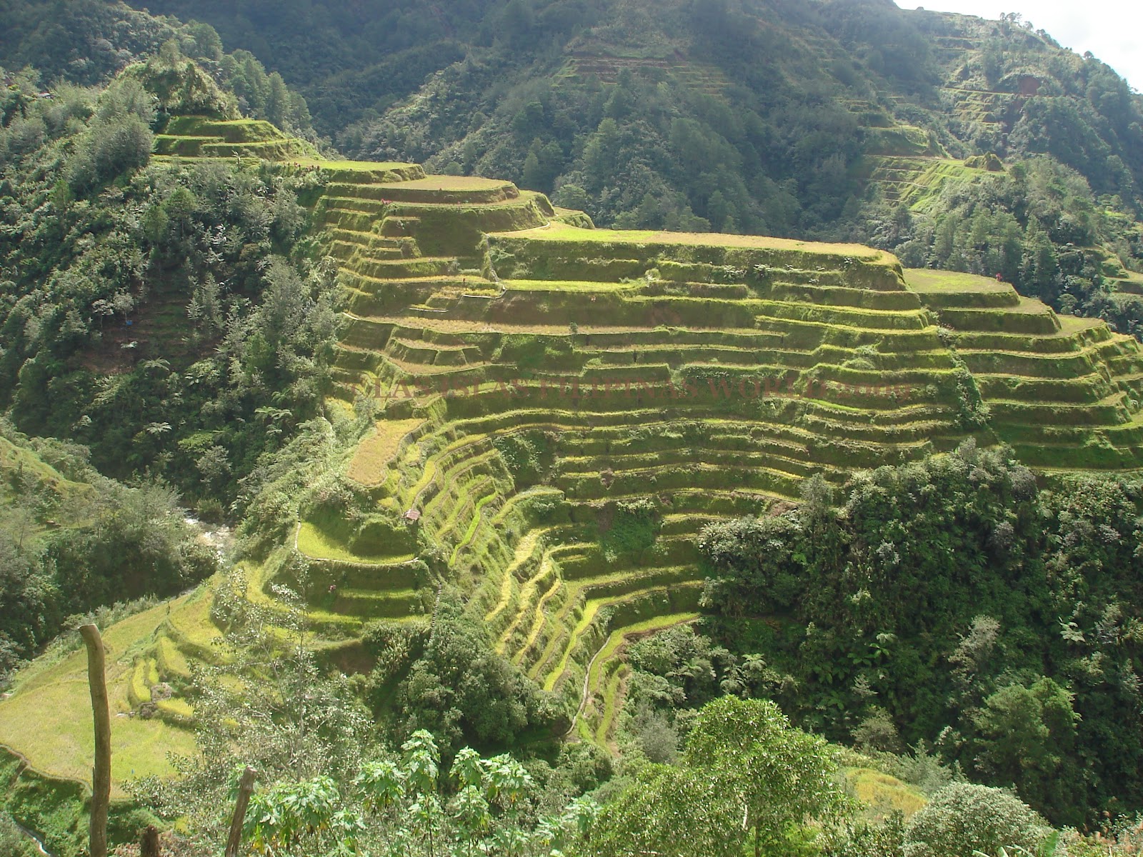 Las Islas Filipinas World: Famous Banaue Rice Terraces From Viewing Deck