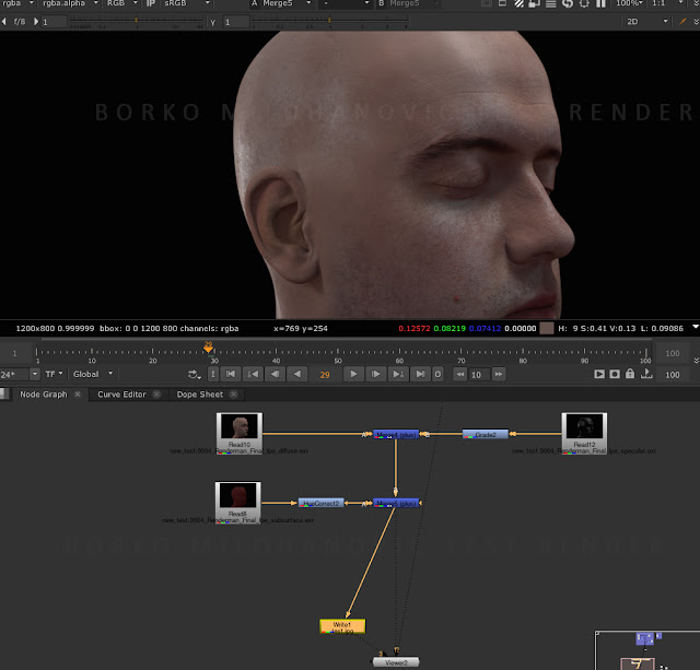 vfxFusion - Effects and Characters : Renderman RIS skin shading