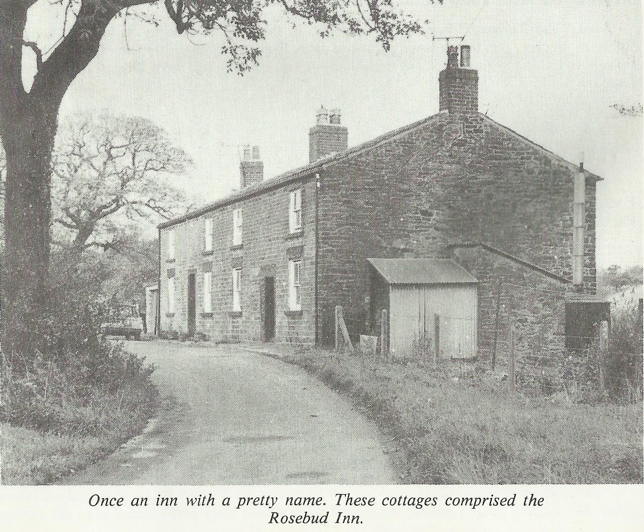 Chorley's Inns and Taverns: Wheelton - Rose Bud Inn