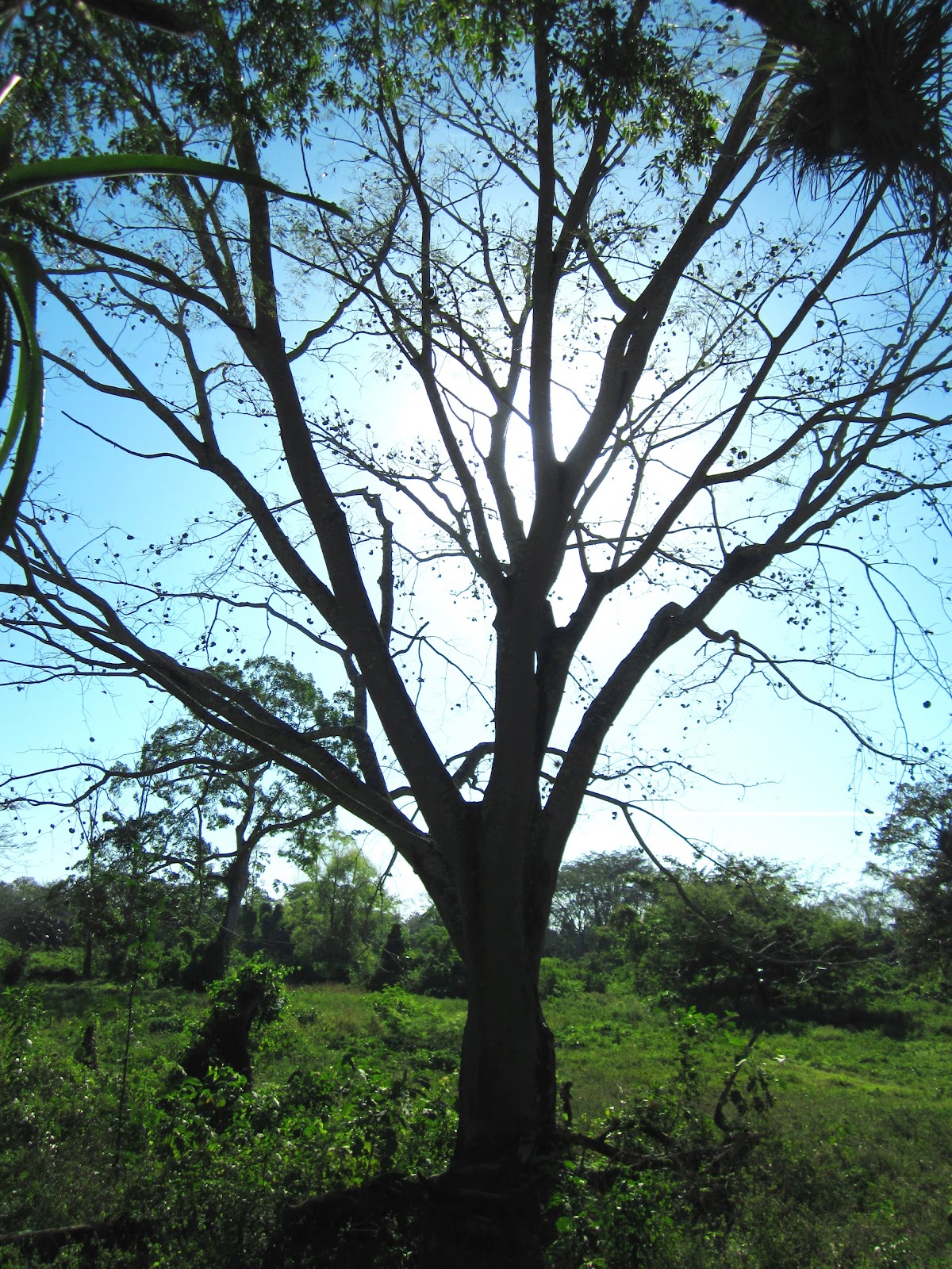 Travails and Travels!: Olancho, the Wild West of Honduras
