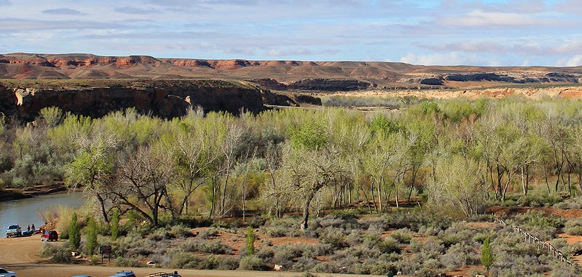 Utah Birding Spots: Sand Island, San Juan River