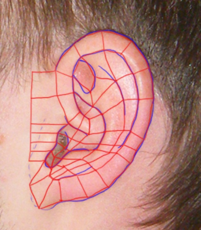 Virtual Environments: The Ear