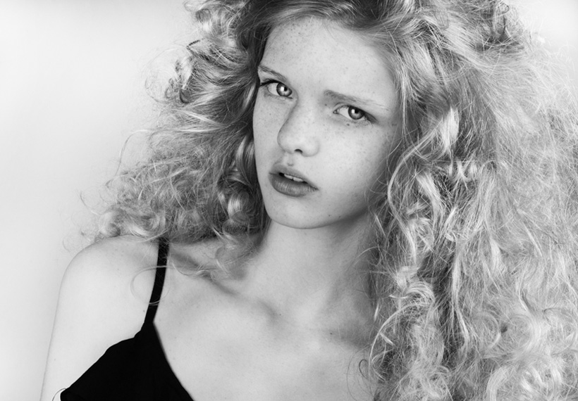 Classify Dutch Model