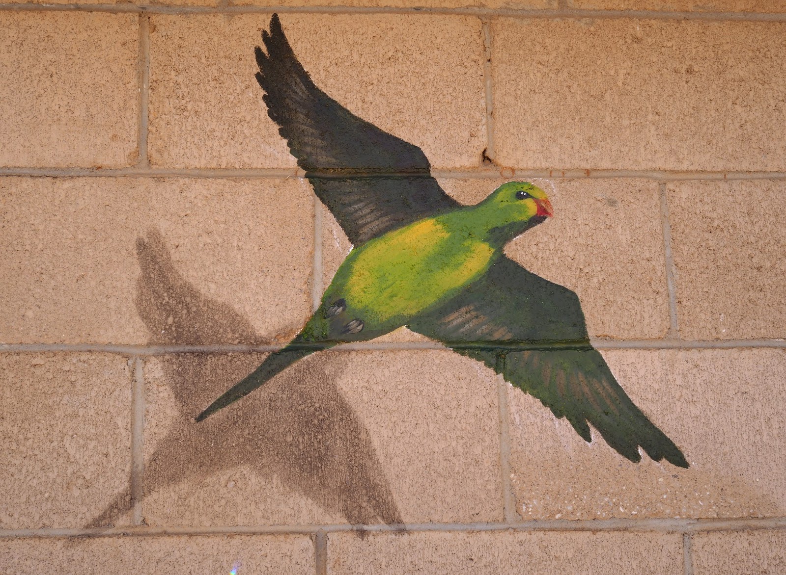 Rob Catterall Illustration