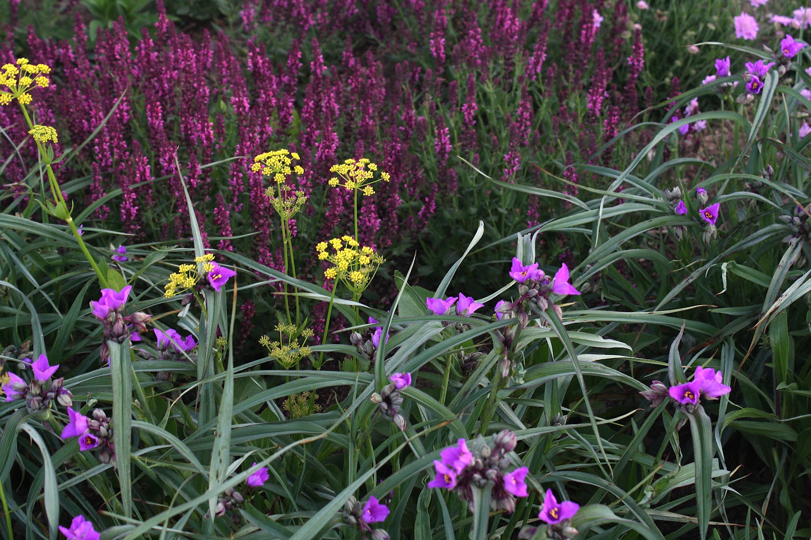 MIDWEST GROUNDCOVERS Display Gardens & Plant Trials: Piet Oudolf ...