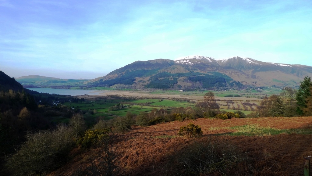 Wild Play at Whinlatter Forest in The Lake District