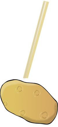 science experiments for kids