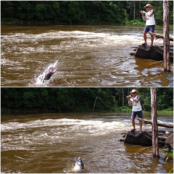 ANGLING WORLD 魔魚釣界: The Exotic Amazon Game Fish - Aimara