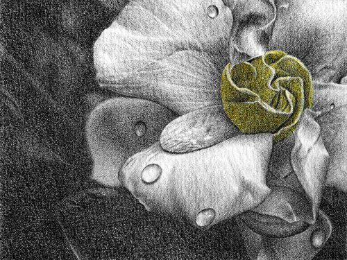 Marcos Rey, 1978 | Realist painter | Tutt'Art@ | Pittura * Scultura ...