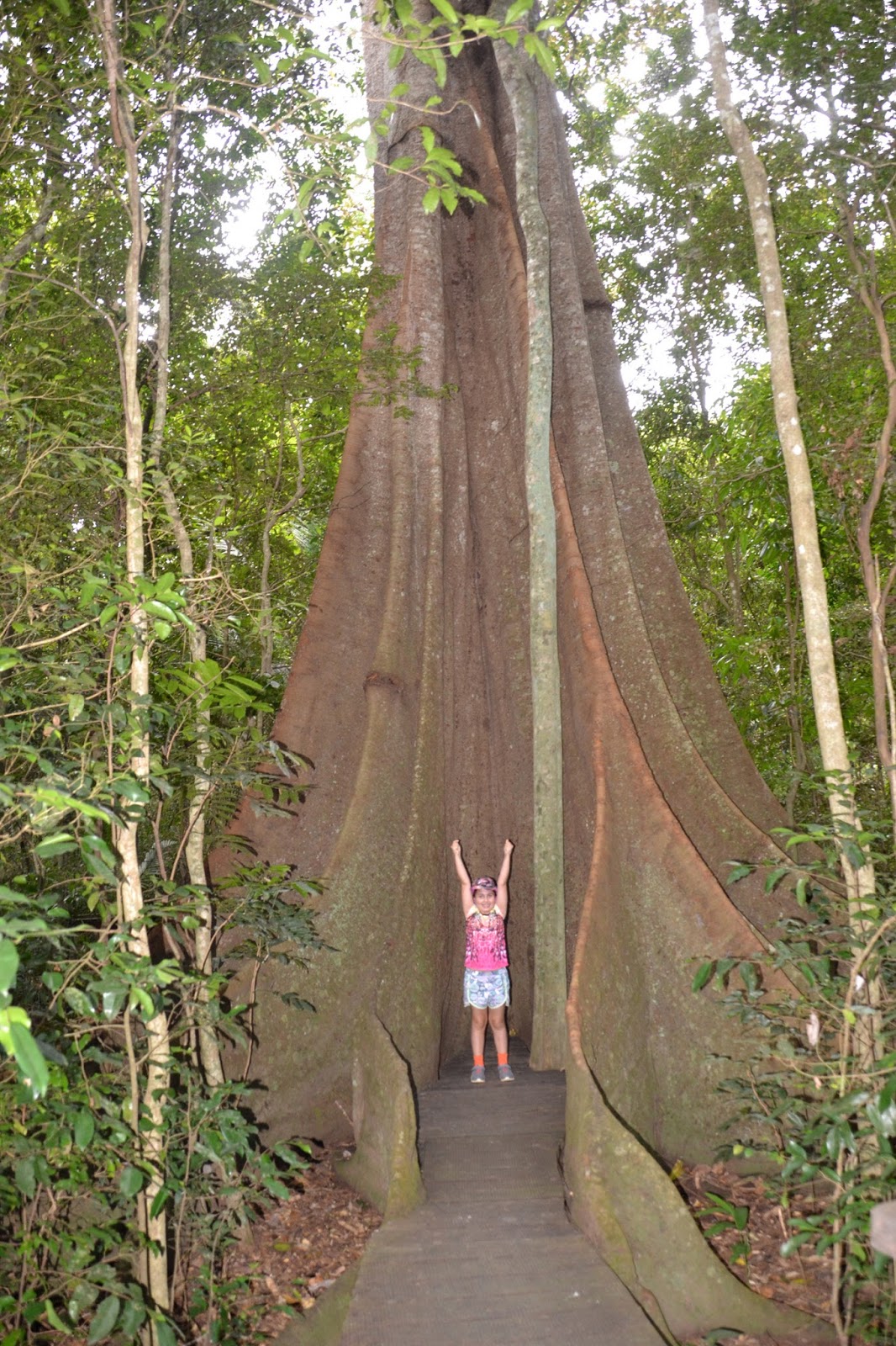 Life & Times: Walking at Kenilworth - Fig Tree Walk