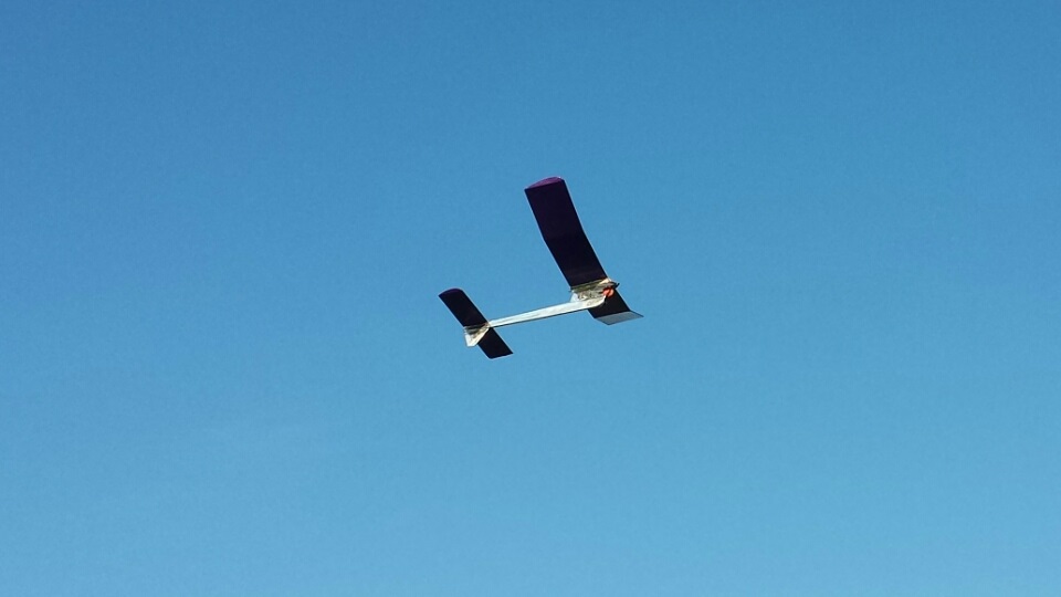 Scienceguyorg Ramblings: Electric Free Flight Test Model