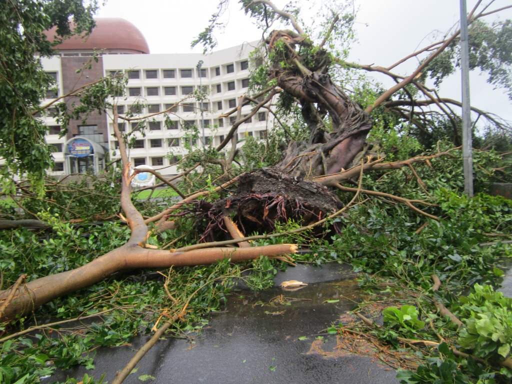 No I Didn't Use Spellcheck