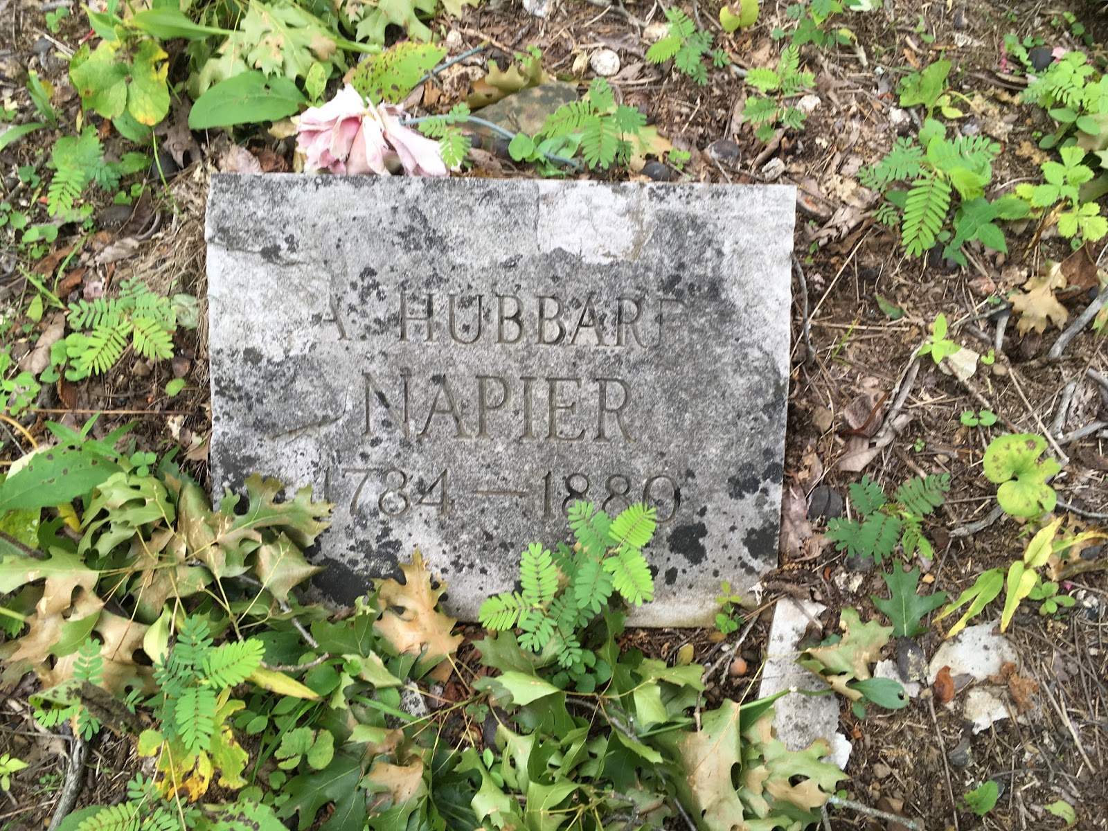 The Salt of America: 2017 Arkansas Genealogy Road Trip