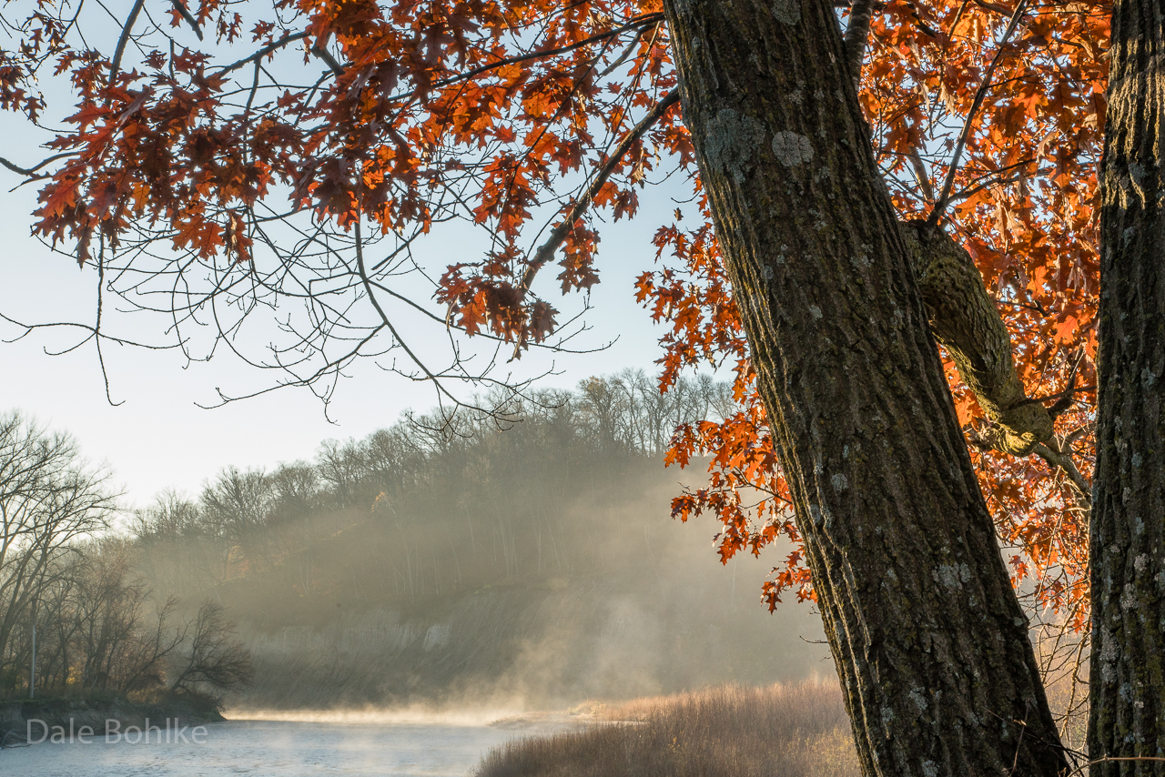 Minnesota Nature & More: November Transition
