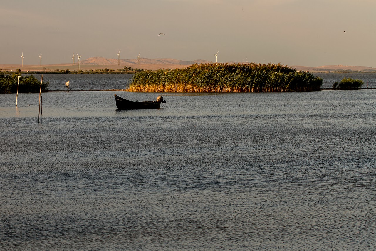 Dan Tiganila: Lacul Razim (Razelm)