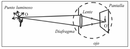 Modelo de visión de Kepler - Parte II