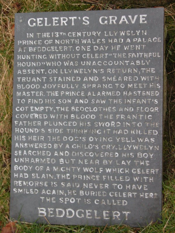 The story of Gelert! | wanderlust.